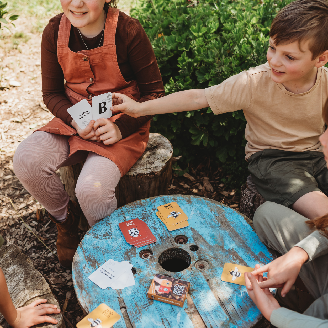 The 'Let's Have Fun' Collection – Your Wild Books