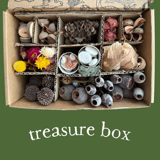 Box Ideas – Your Wild Books