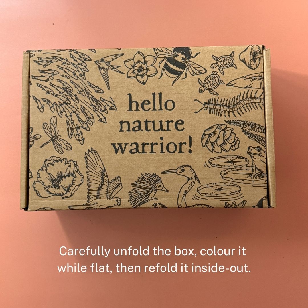 Box Ideas – Your Wild Books
