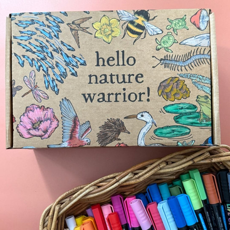 Box Ideas – Your Wild Books