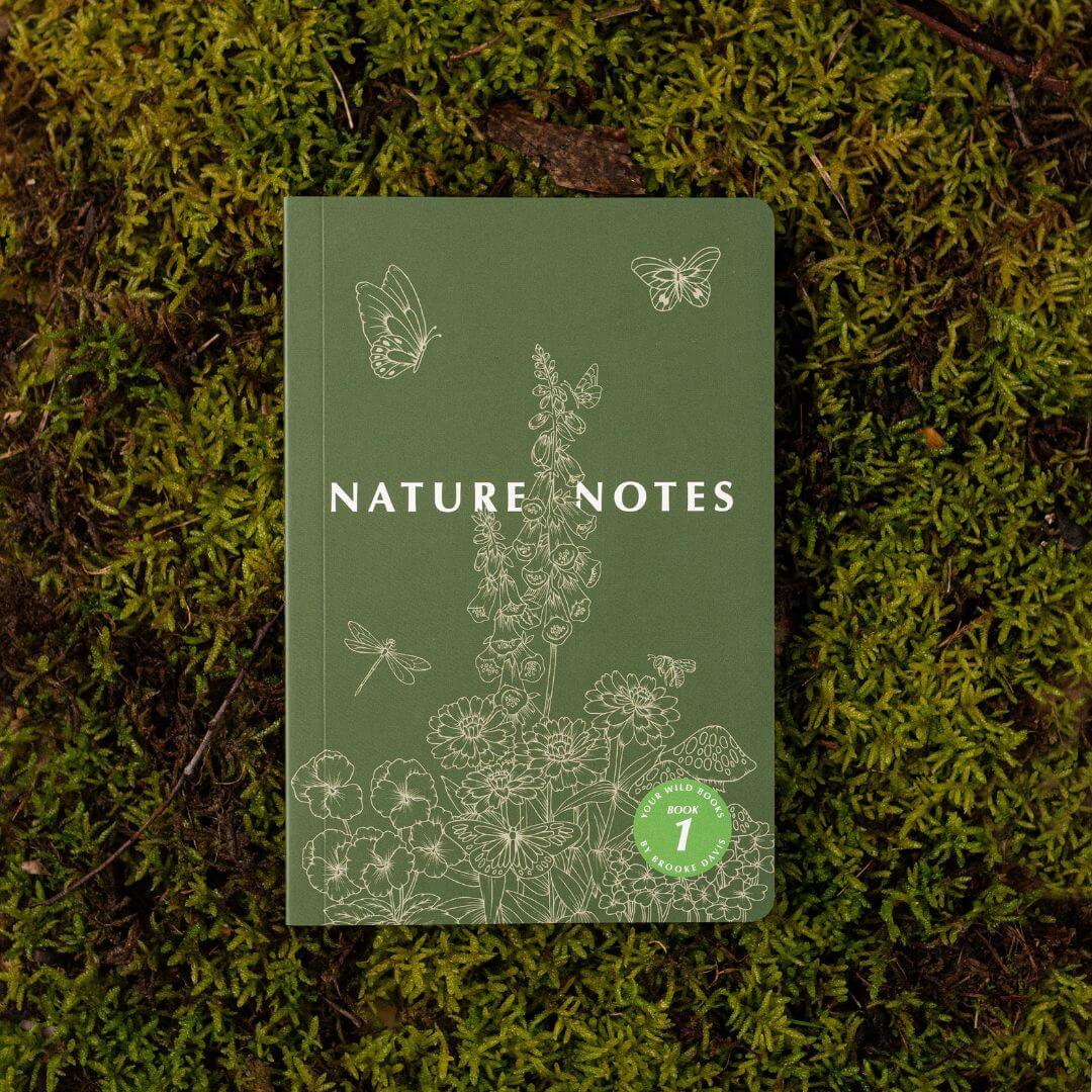 Nature Notes 1 | Nature journal, colouring book + field notebook | Your ...
