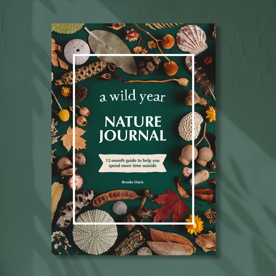 A Wild Year - Nature Journal | 12-month guide to spending more time ...
