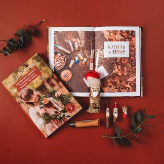 Wild Celebrations Book | Nature craft for Christmas, Easter, Birthdays ...